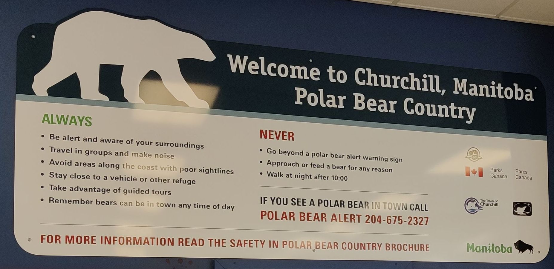 “Have You Seen a Polar Bear?” – Transportation During “Bear Season” in ...